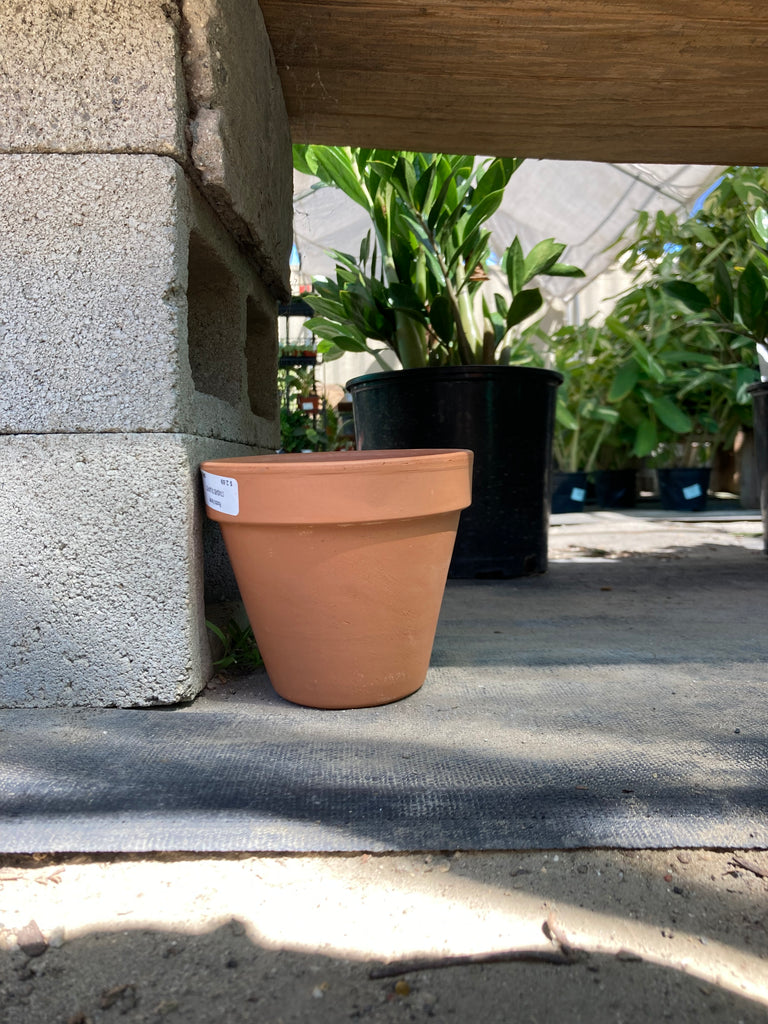 Standard Italian Pot – Ricardo's Nursery