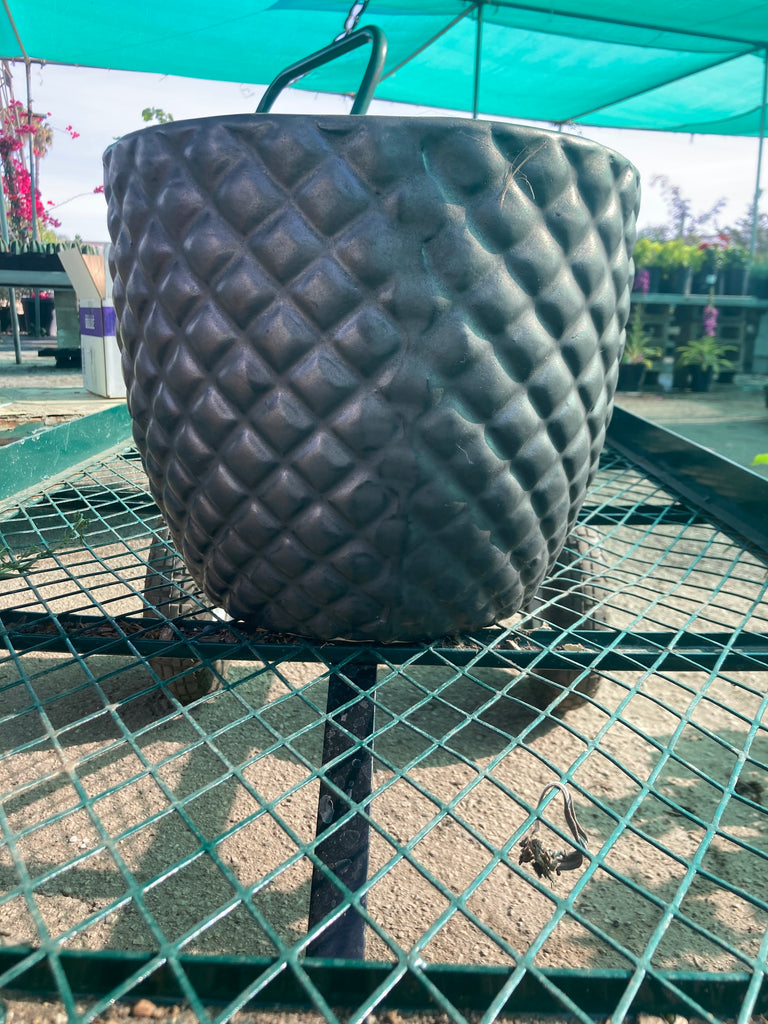 Glazed Diamond Pattern Pot – Ricardo's Nursery