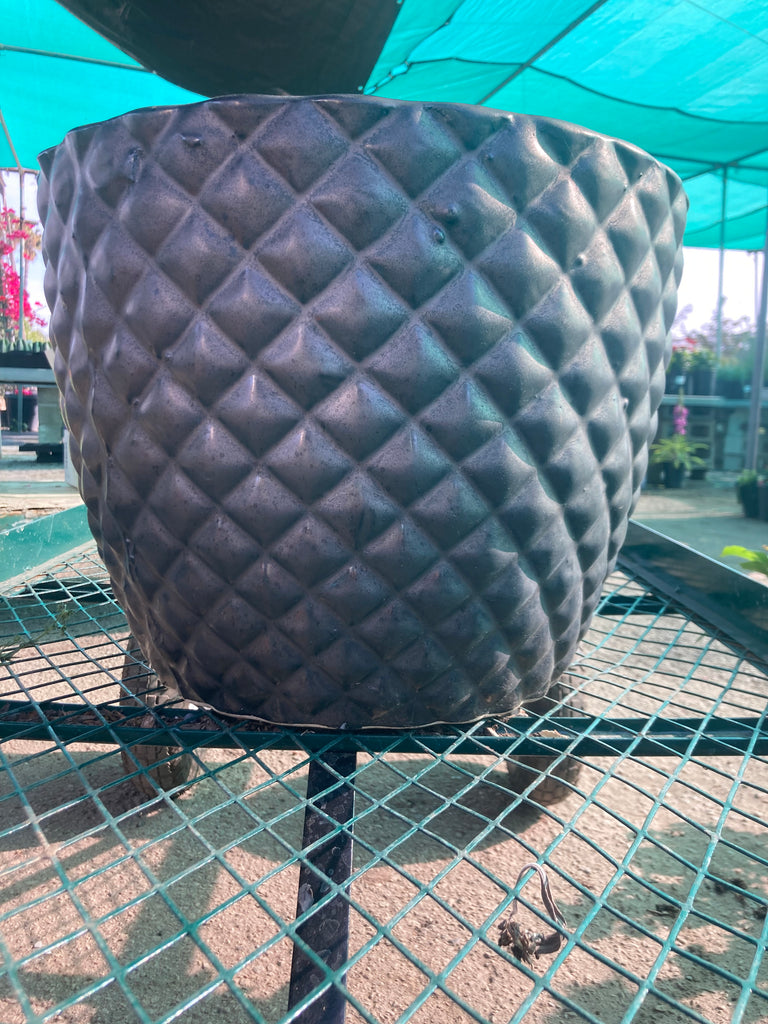 Glazed Diamond Pattern Pot – Ricardo's Nursery