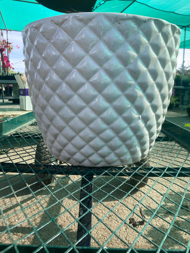 Glazed Diamond Pattern Pot – Ricardo's Nursery